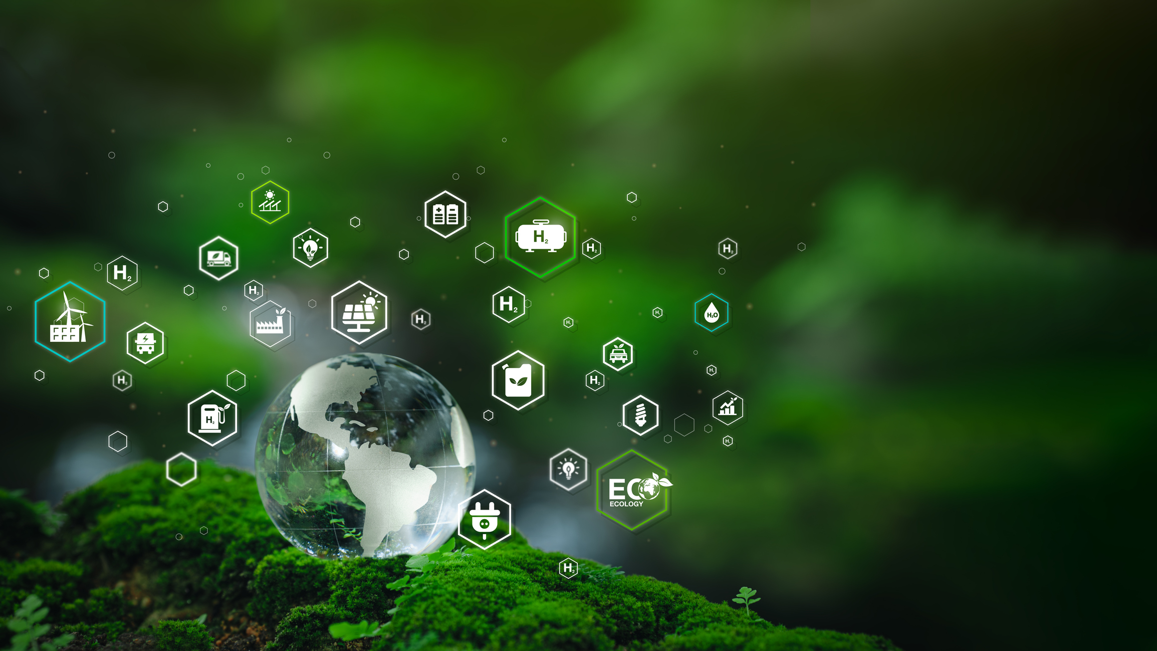 Eurogas 1st European Renewable Gas Conference ‘European Renewable Gas ...