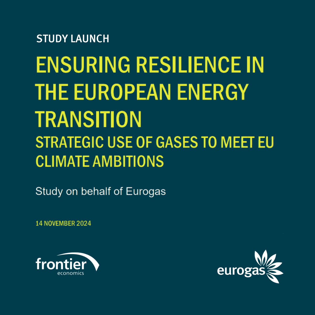 STUDY | Ensuring Resilience in the European Energy Transition ...