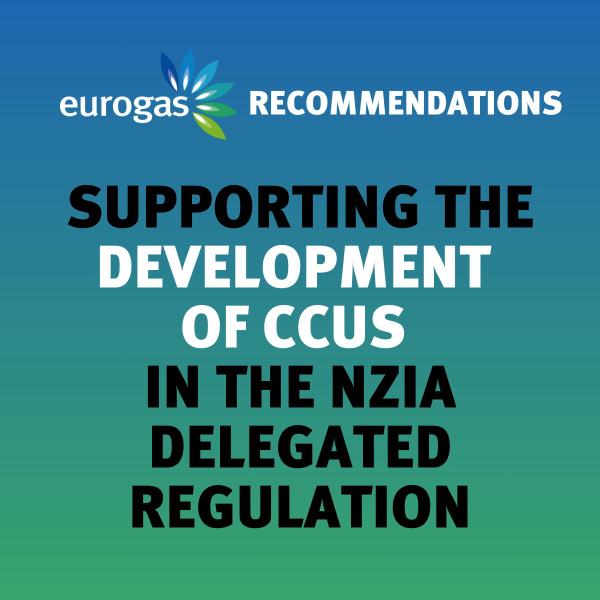 Supporting the Development of CCUS Technologies in the NZIA DR on CO2 Injection Obligation - Eurogas